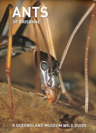 Ants of Brisbane: A Queensland Museum Pocket Wild Guide