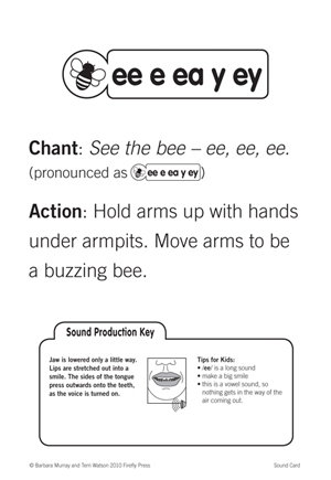 Sound Waves Standard Sound Box Cards : A5 size (Words and Graphemes)