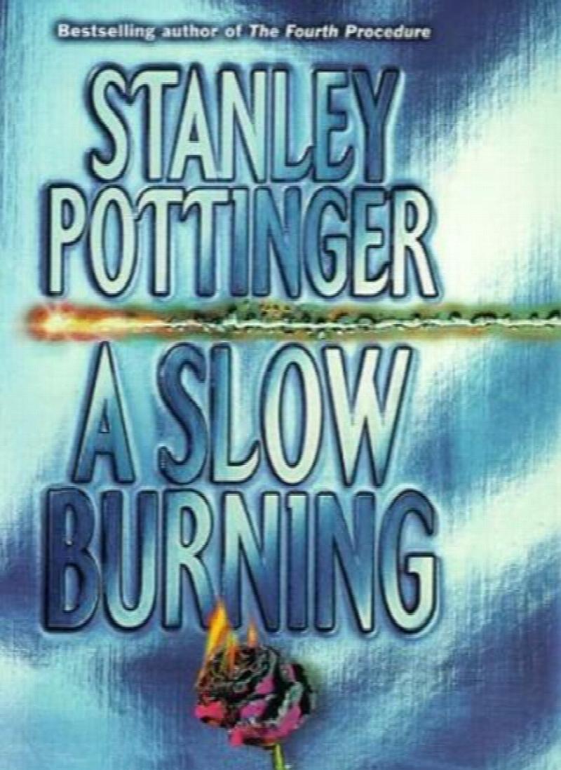 A Slow Burning [used book]