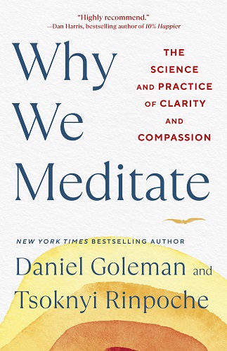 Why We Meditate : 7 Simple Practices for a Calmer Mind