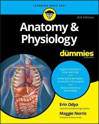 Anatomy and Physiology All-in-One For Dummies (+ Chapter Quizzes Online)