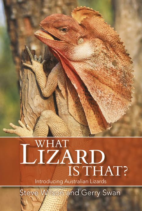 What Lizard Is That? Introducing Australian Lizards