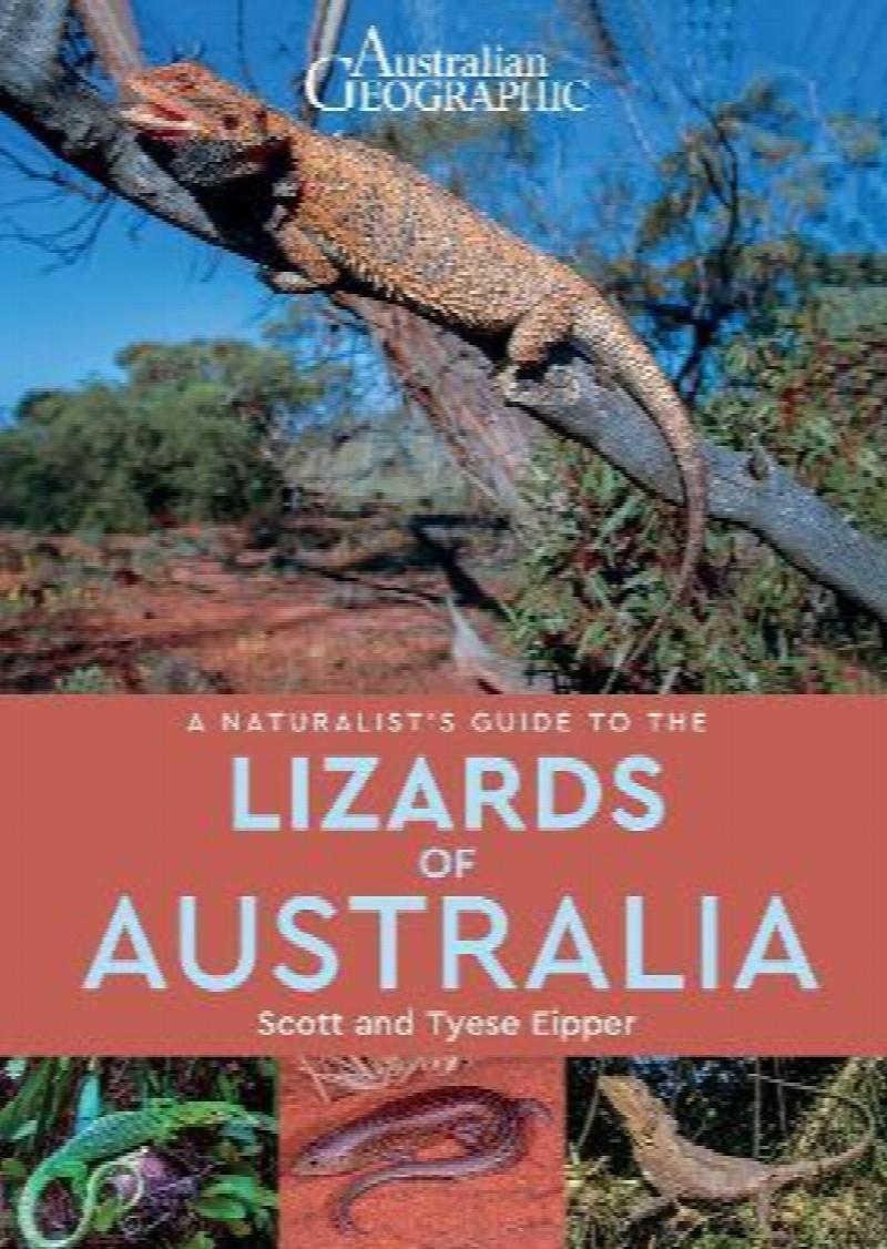 A Naturalist's Guide to the Lizards of Australia : Australian Geographic