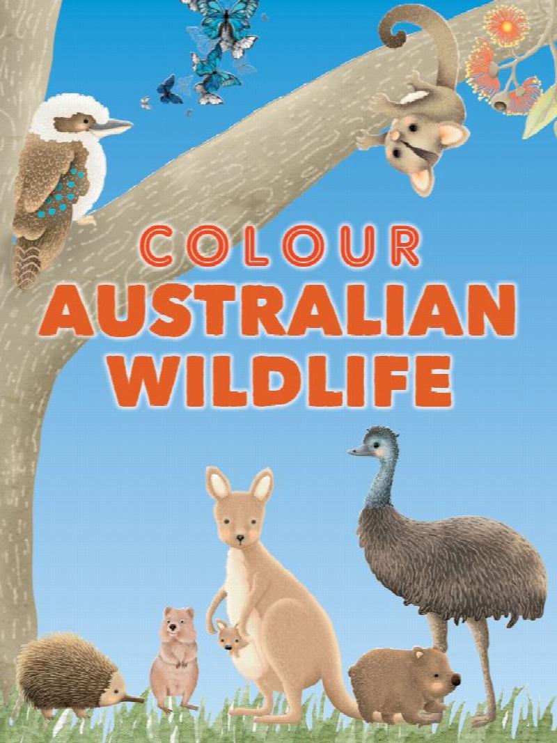 Colour Australian Wildlife (24 pages of colouring-in)