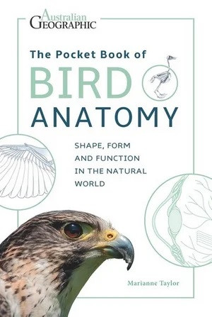 The Pocket Book of Insect Anatomy